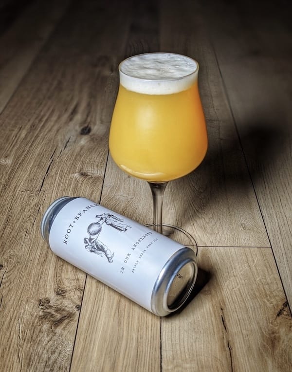 In Our Angelhood | Root + Branch | TIPA | USA | Vegan | Brew Cavern