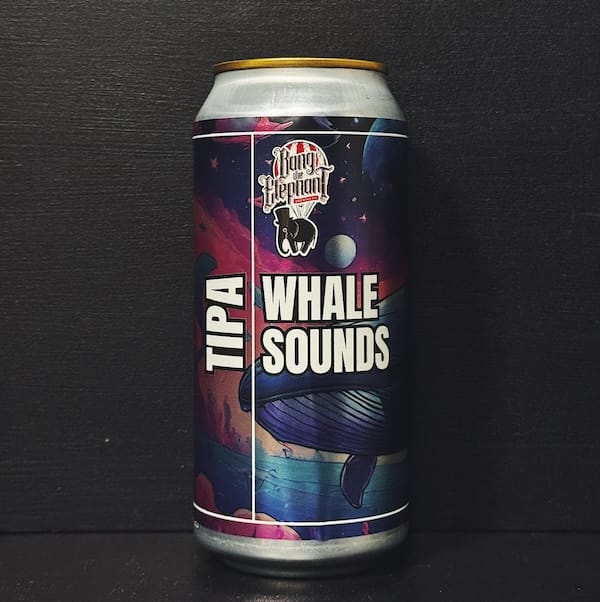 Whale Sounds | Bang The Elephant | TIPA | Nottinghamshire | UK | Brew Cavern